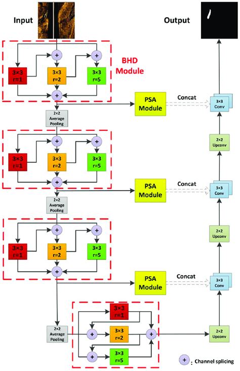 Structure Of The Bhp Unet Model Download Scientific Diagram