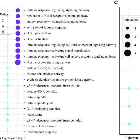 Core Modules And Their Enriched Functions A Heatmap Of Download