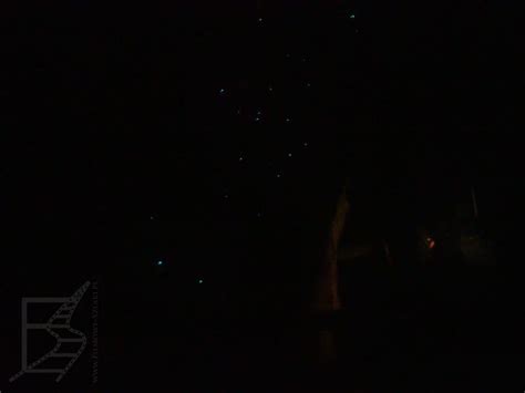 Waitomo Glowworm Cave Jaskinia Ruakuri I świecące Robaki