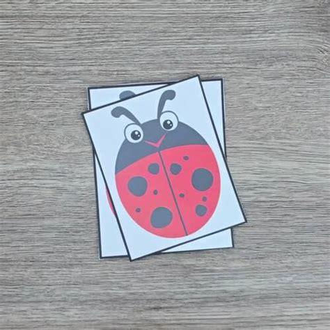 Spring Size Sequencing Activity By Hh Fun And Learning Tpt