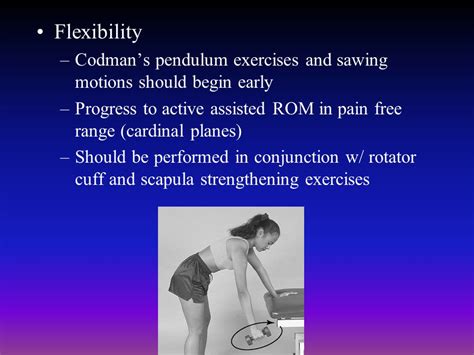 Chapter 22 The Shoulder Complex Ppt Video Online Download