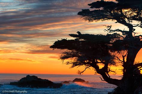 exploring visual concepts color nature s best by don smith