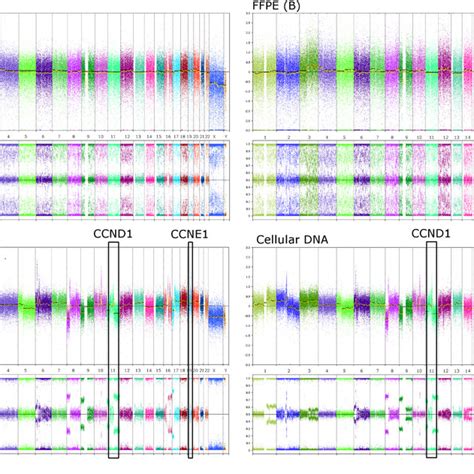 By Examining The BAF Plots Of The SNP Probes For Patient The Download Scientific Diagram
