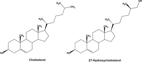 27 Hydroxycholesterol Suppresses Lipid Accumulation By Down Regulating
