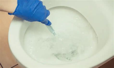 Why Is My Toilet Bubbling Signs Causes And Solutions Explained