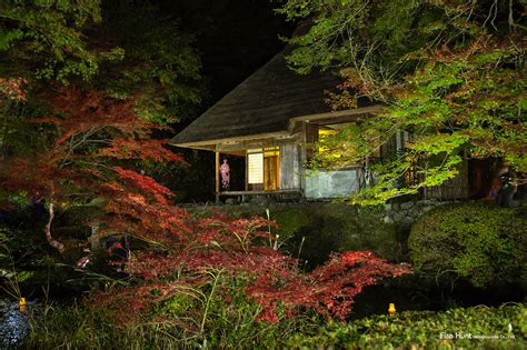 県名勝吉水園 ライトアップ撮影会 秋 Rebornkake リボーン加計