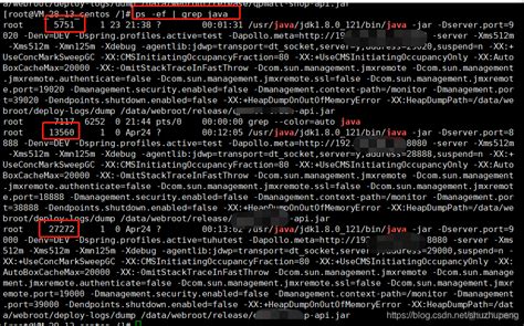 Linux 查看java进程 Linux查看java进程并停止的命令mob6454cc7b3ae8的技术博客51cto博客