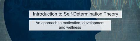 Reddit Comments On Introduction To Self Determination Theory Coursera