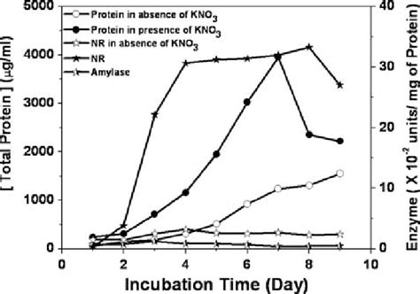 Total Protein Concentration And Nitrate Reductase Enzyme Specific Download Scientific Diagram