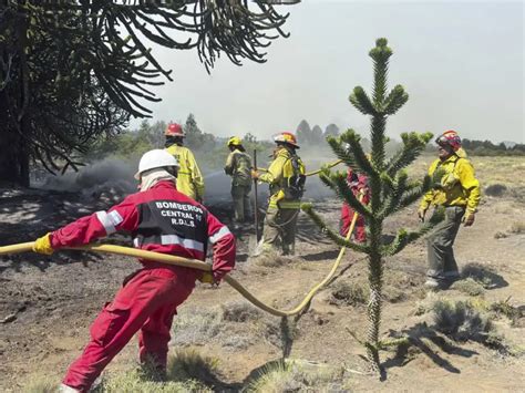 La Patagonia En Llamas Las Fotos Más Impactantes De Los Incendios En