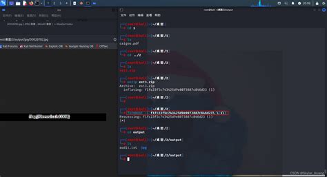 中科磐云 隐写术应用 flag f0rens cs sc00l CSDN博客