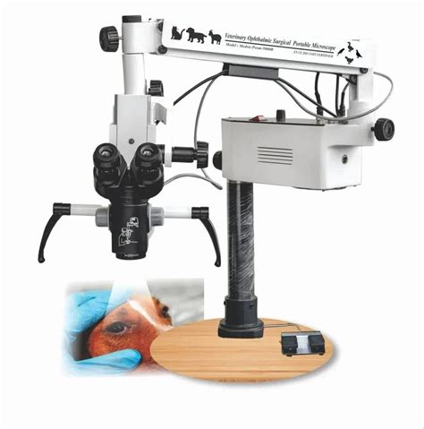 3 Step Veterinary Surgical Operating Microscope For Ent 6x At ₹ 49000 Piece In Ambala