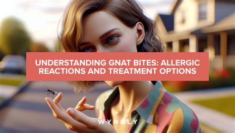 Gnat Bites Allergic Reactions And Effective Treatment Options 2025