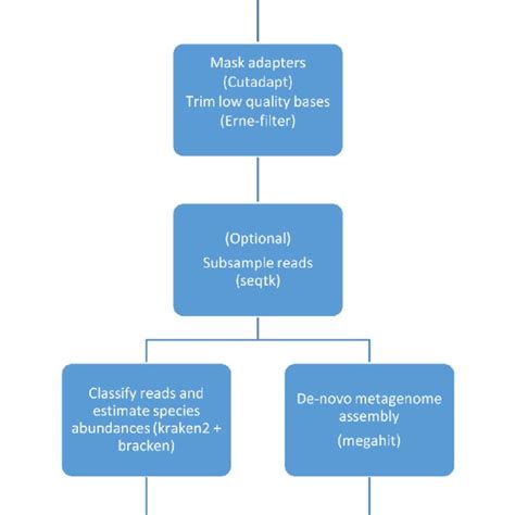 Workflow Of The Main Bioinformatics Analysis Performed In The Present Work Download