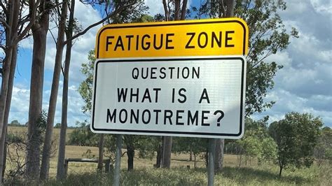 Driver Reviver Shutdown Sparks Calls For Roadside Trivia Boom R Australia