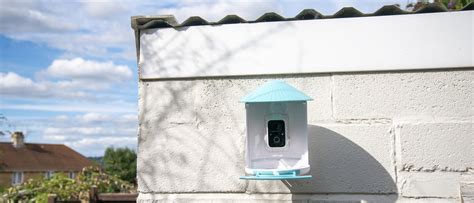 Netvue Birdfy Smart Bird Feeder Camera Review Birdwatching From Your Armchair Digital Camera