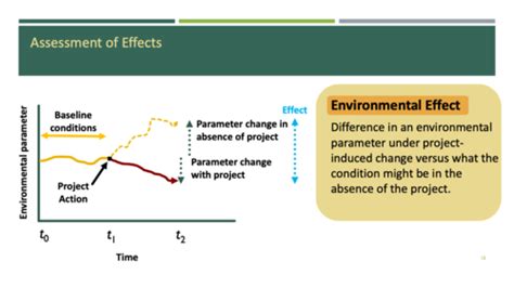 Lec 3 Characterizing Effects Flashcards Quizlet