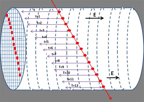 Schematic Of The Proposed Time Projection Chamber Download Scientific