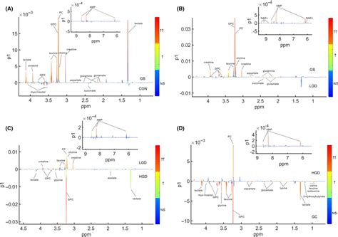 Orthogonal Partial Least Squares Discriminant Analysis Loading Plots