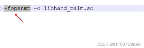 解决undefined Reference To `ompgetthreadnum‘ Ompgetnumthreads Ompsetdynamic Gompparallel
