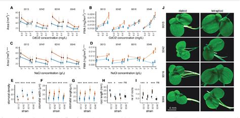 Figure 1 From The Immediate Effects Of Polyploidization Of Spirodela