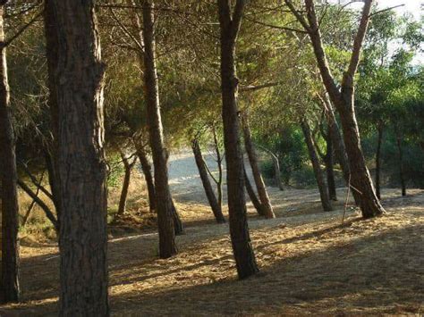 Comune Di Otranto Comune Di Otranto Pagina Ufficiale