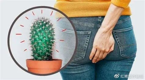 痔者必看痔疮最佳护理方法大揭秘