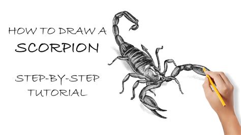 Master The Art Of Drawing A Lifelike Scorpion A Simple And Illustrated Pencil Guide YouTube