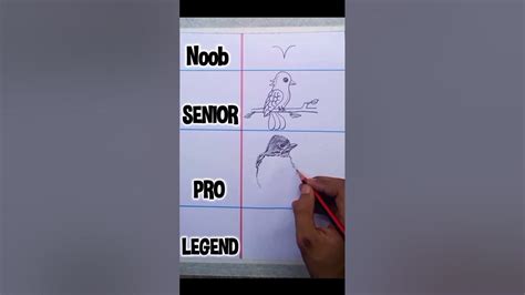 🤩bird Drawing 🥰😍 Noob Vs Senior Vs Pro Vs Legend Noob Legend