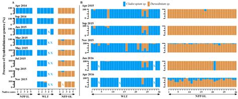 Symbiodiniaceae Genera Trends A In Five Native Cores Of P Verweyi