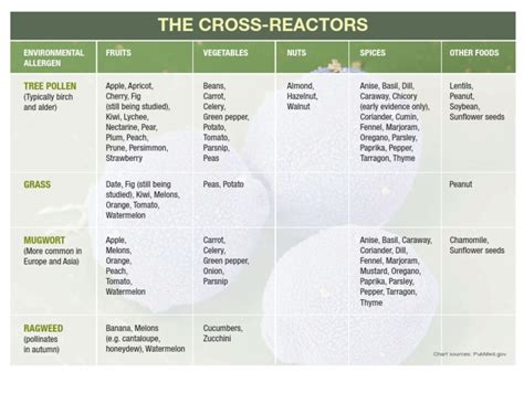 The Cross Reactors 150 Pdf