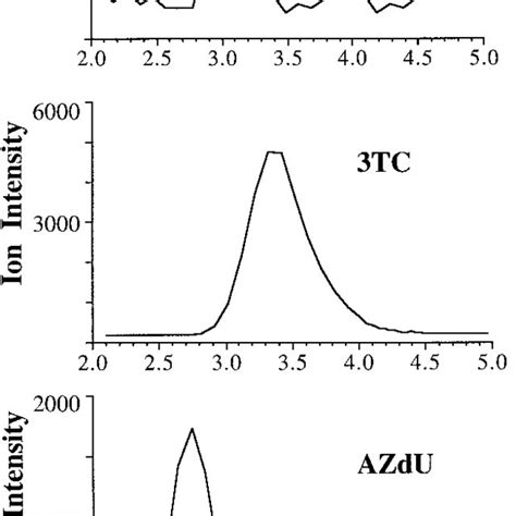 Schematic Representation Of The Hbv Pol Gene An Hbv Polymerase