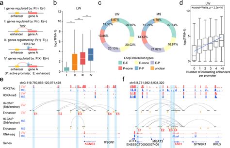 Comprehensive Analyses Of Chromatin Interactions And Gene Expression A