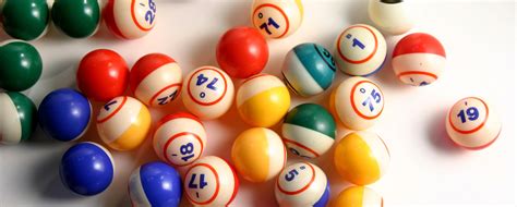 Papéis De Parede De Bingo Para Desktop Baixe Gratuitamente Imagens E Planos De Fundo De Bingo
