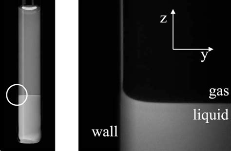 Figure 1 From The Interface In Demixed Colloid Polymer Systems Wetting Waves And Droplets