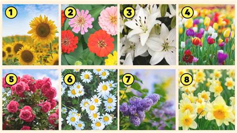 Personality Test Choose A Flower To Reveal Your Hidden Personality Traits