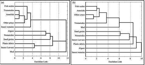 multidimensional scaling and cluster analysis of items based on
