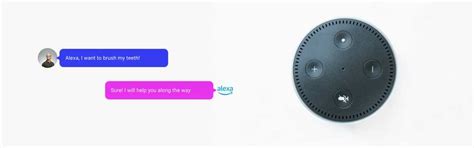 Robin Assistant Dirk Mulder Portfolio