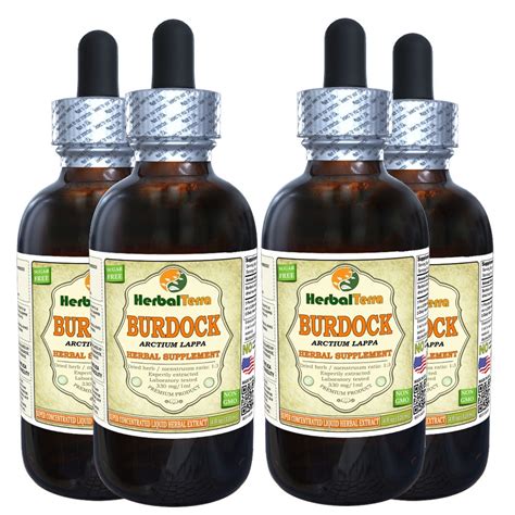 Burdock Arctium Lappa Tincture Organic Dried Root Liquid Extract Herbal Terra Usa 4x4 Oz