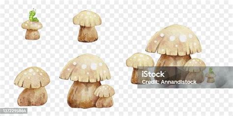 투명 한 배경에 버섯과 애벌레의 벡터 세트 부활절에 대 한 야생 자연 식물의 수채화 그림 귀여운 만화 요소 봄 가을 인사말 카드와 배너 개념 수채화에 대한 스톡 벡터 아트