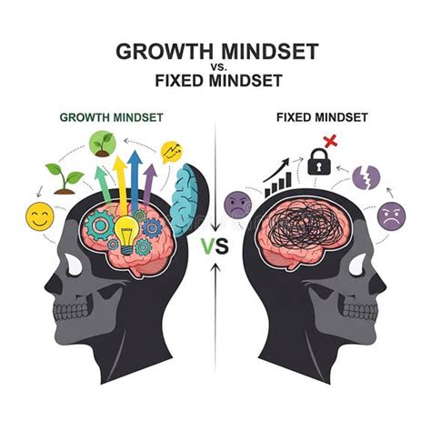 Growth Mindset Versus Fixed Mindset Brain Illustration Stock