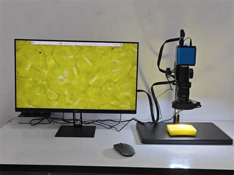 ศูนย์กล้องจุลทรรศน ศูนย์กล้องจุลทรรศน์ Microscope ราคาส่ง