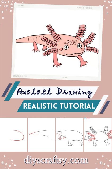 12 Axolotl Drawing Ideas Step By Step Guide DIYsCraftsy