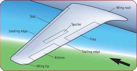 Leading Edge And Trailing Edge Of Wing Clindatapdf