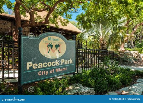 Peacock In The Park Walking People In Background Editorial Image