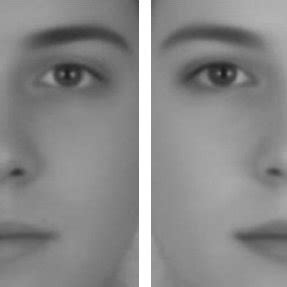 Skin Luminance Plotted Against Feature Luminance With Each Point Download Scientific Diagram