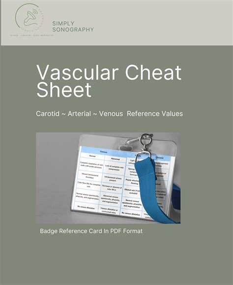 Vascular Cheat Sheet Ultrasound Tech Vascular Study Guide Rvt Etsy