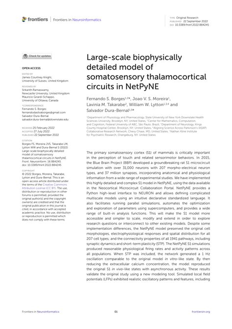 Pdf Large Scale Biophysically Detailed Model Of Somatosensory Thalamocortical Circuits In Netpyne