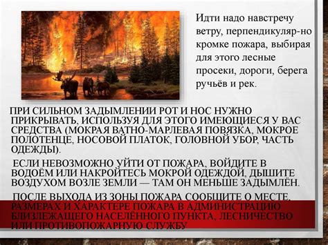 Профилактика лесных и торфяных пожаров защита населения презентация онлайн