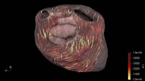 The Oden Institute For Computational Engineering Sciences